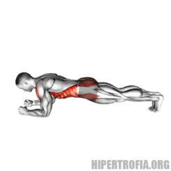 Os 13 exercícios para abdômen mais importantes no treino