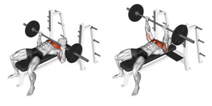 Supino: como fazer, variações, tipos, músculos usados e mais