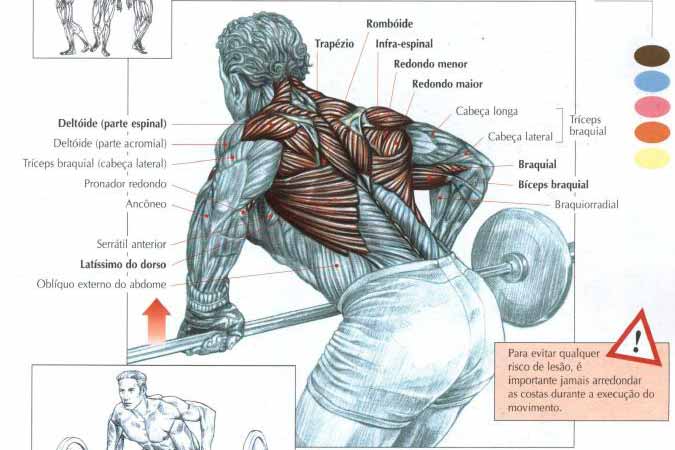 Melhores exercícios para trapézio e treino pronto