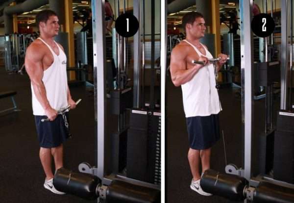 Rosca inversa para bíceps e antebraço - execução correta e benefícios