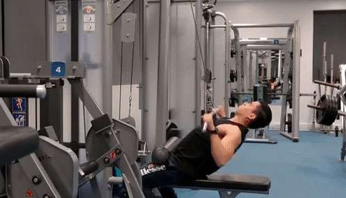 Pulley frente (puxador frente): como fazer, músculos usados, benefícios ...