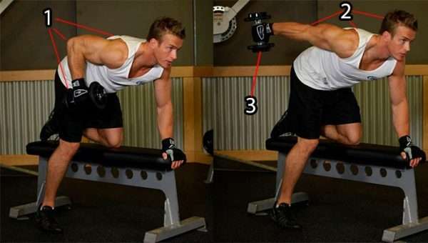 Tríceps coice - 5 truques para dominar a execução do exercício