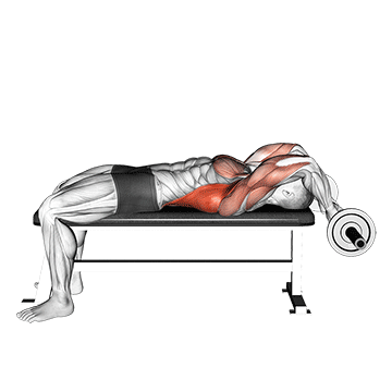 Pullover - execução correta, músculos recrutados e benefícios