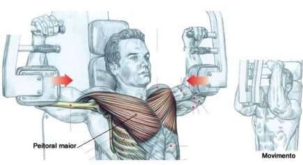 Peck deck (voador) - 5 dicas cruciais para dominar o exercício