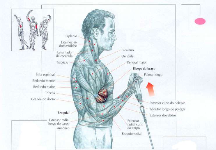 Rosca direta no cross: execução correta, variações e benefícios
