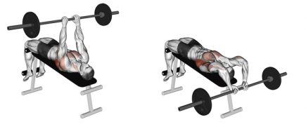 Os 7 melhores exercícios de costas com barra