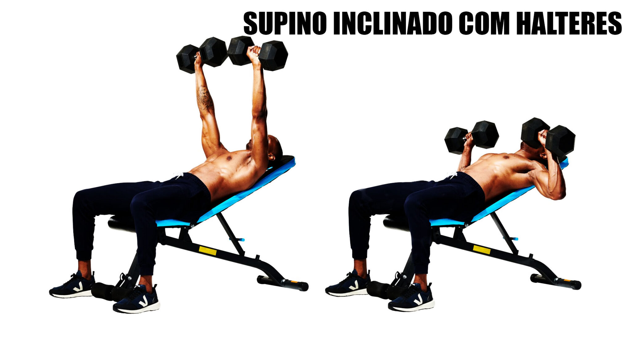 Supino inclinado com halteres: como fazer, músculos usados e benefícios