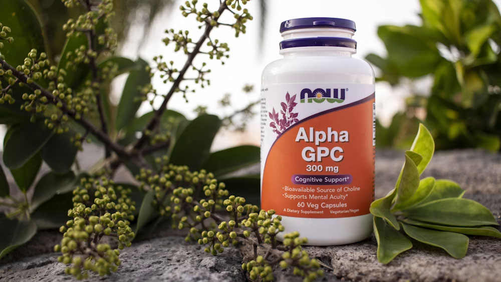 Alpha-GPC: para que serve, benefícios, como tomar e mais