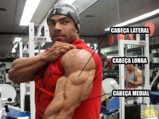 4 melhores exercícios para a cabeça longa do tríceps