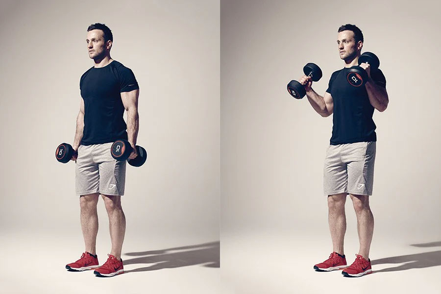 Rosca martelo com halteres: execução, músculos usados, benefícios e mais