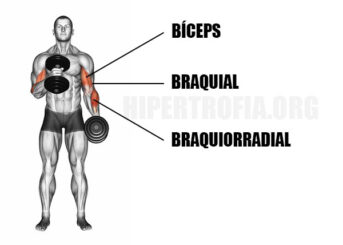 Rosca martelo com halteres: para que serve e como fazer