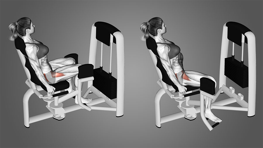 Maquina Abdutora De Quadril Ultrawod Equipamentos De Força