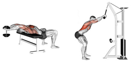 Pulldown e pullover: qual a diferença e qual usar?