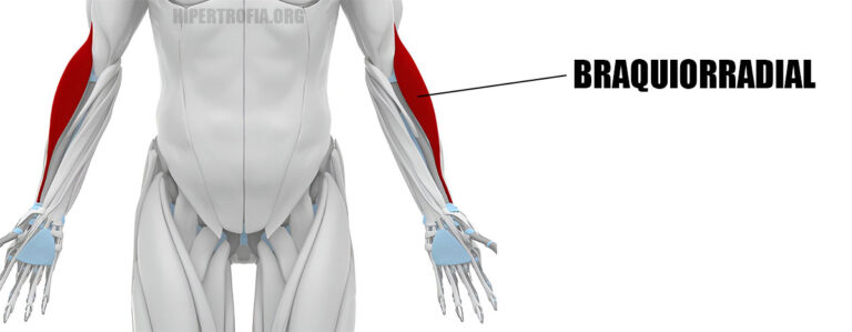 Os 5 melhores exercícios para braquiorradial em 2025