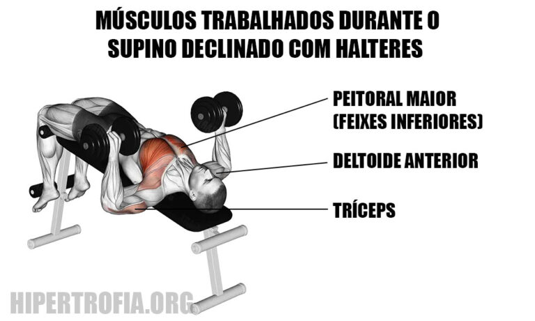 Supino declinado com halteres: como fazer e usar no treino