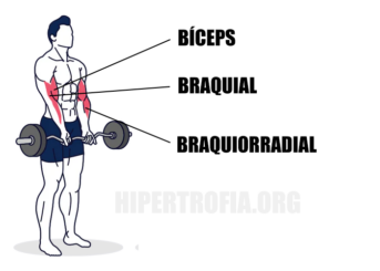 Rosca direta com barra W: guia completo do exercício