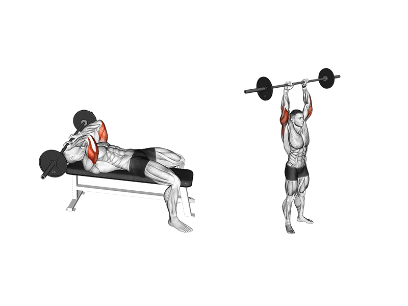 Fazer rosca testa ou francesa no treino de tríceps?